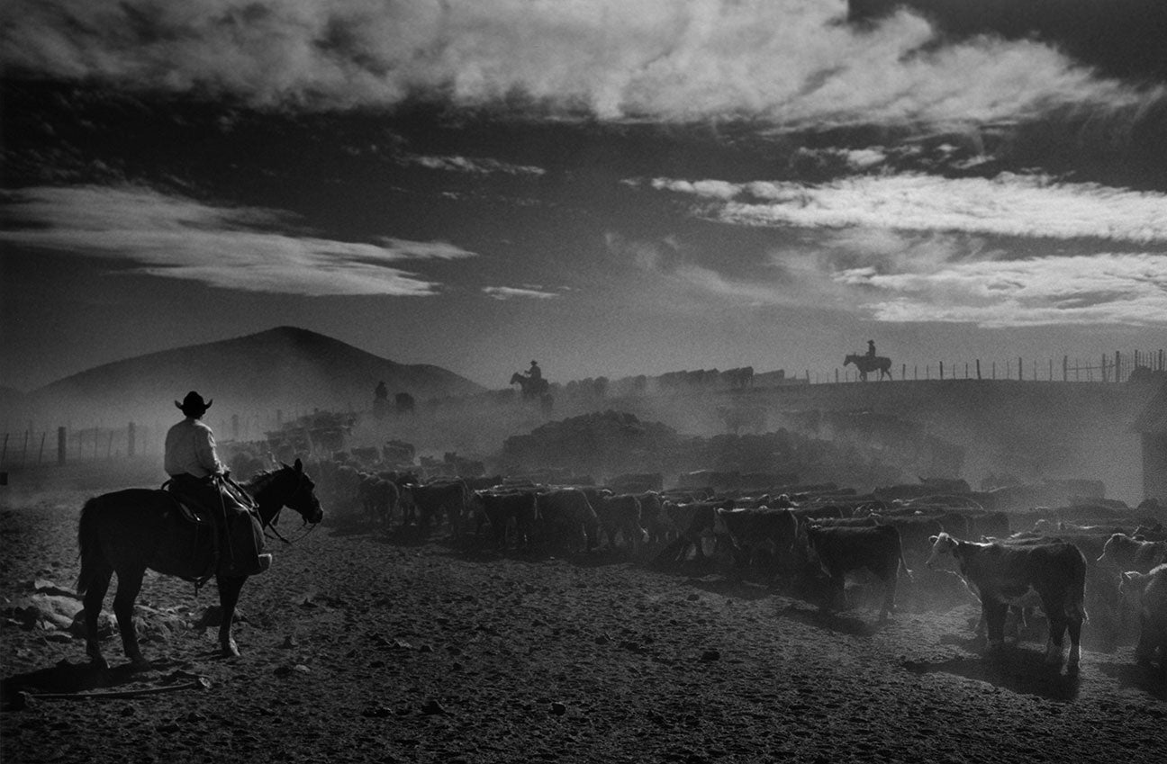 Open Range - Twin Palms Publishers